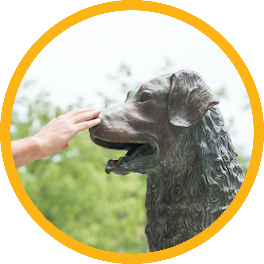 UMBC Commencement - UMBC